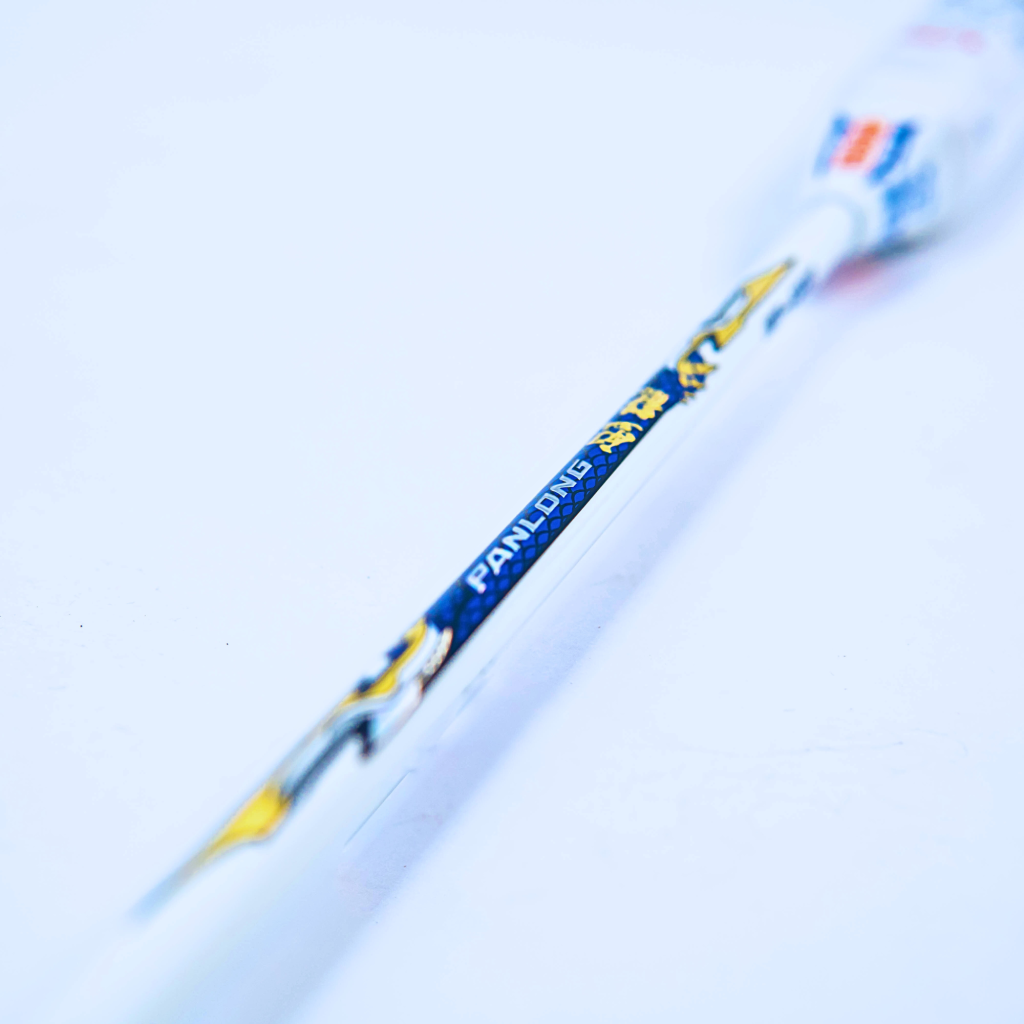 VS PanLong - Trung Nguyên Sport